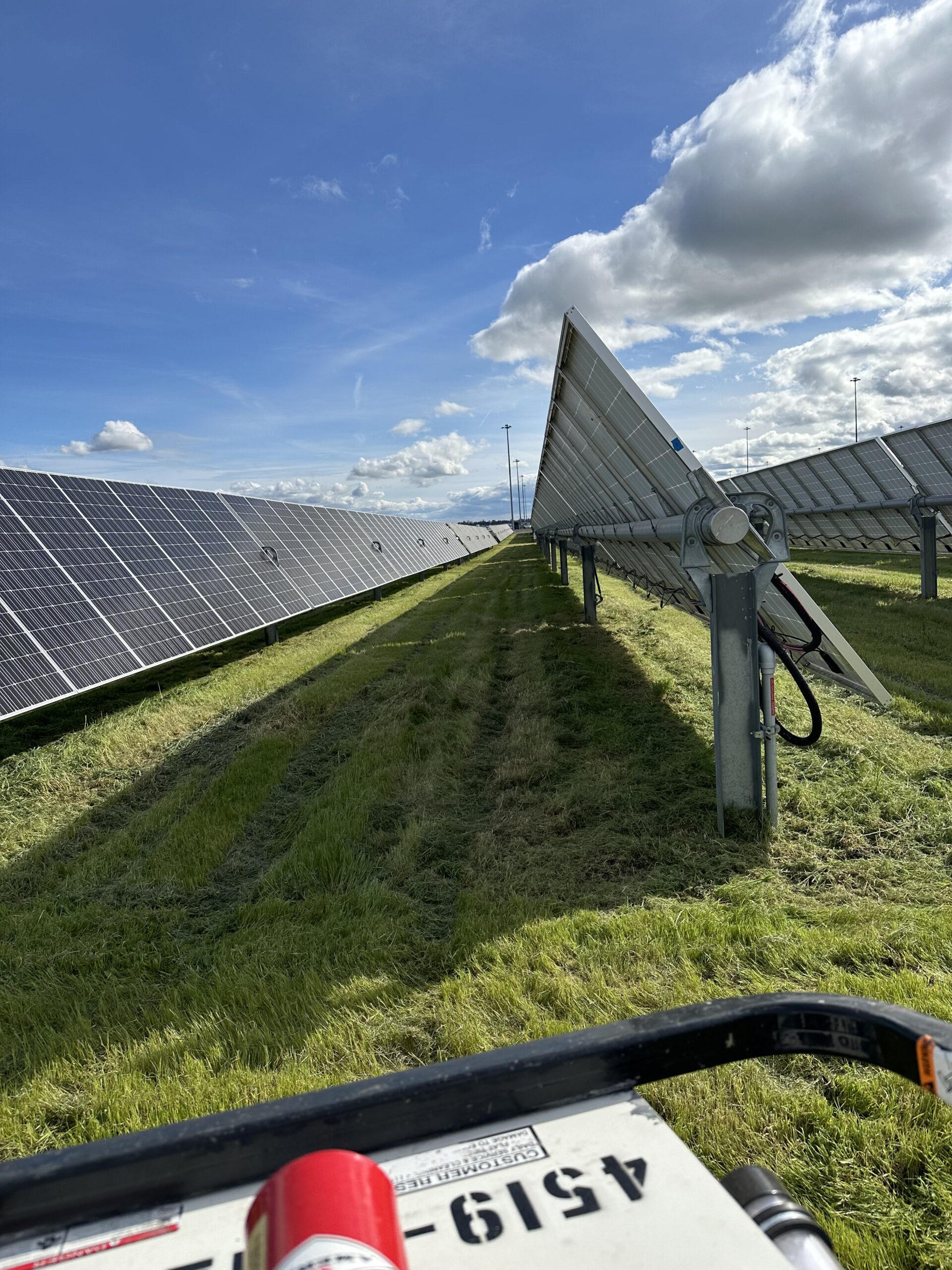 Weed Abating - Rafaels Landscaping
