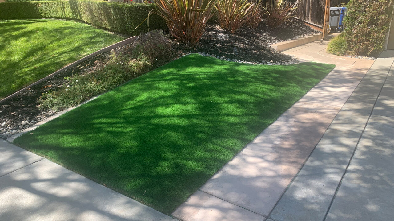 Artificial Turf - Rafaels Landscaping